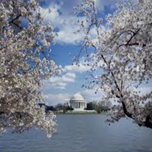 When is the first day of spring in 2024 – News Website (iasianews.net)